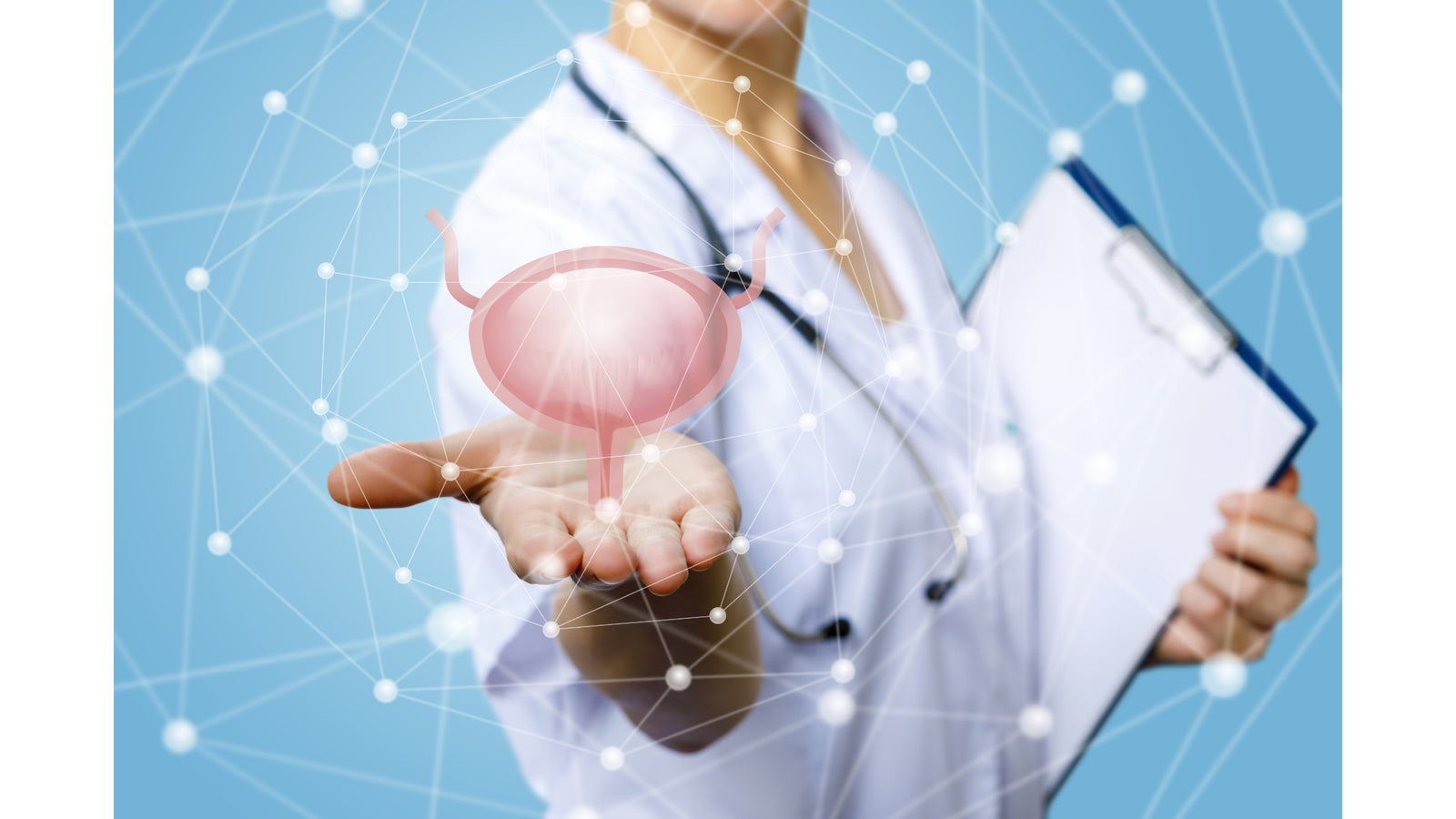 Prostate and Bladder Health with Ayurveda - KOTTAKKAL Ayurveda USA